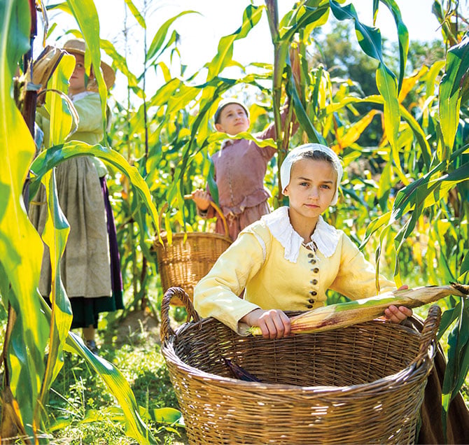 Pilgrims Picking Crops