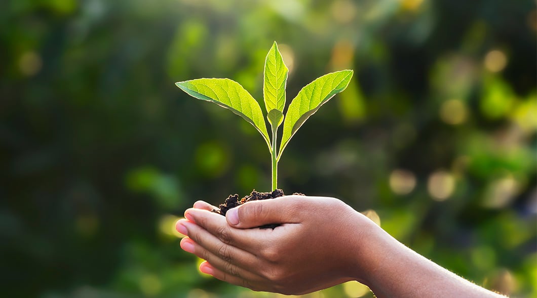 Protecting Our Planet | Text Sets | Scholastic News, Edition 4 ...